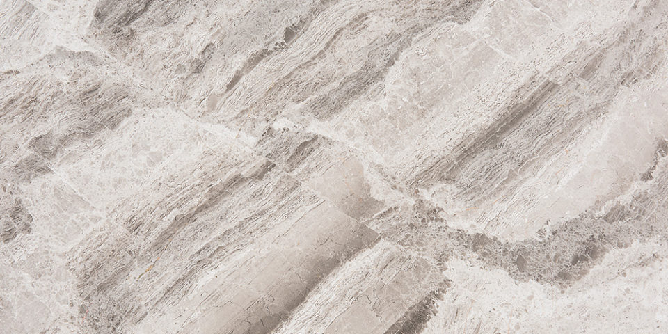 Gray Daino | Aria Marble